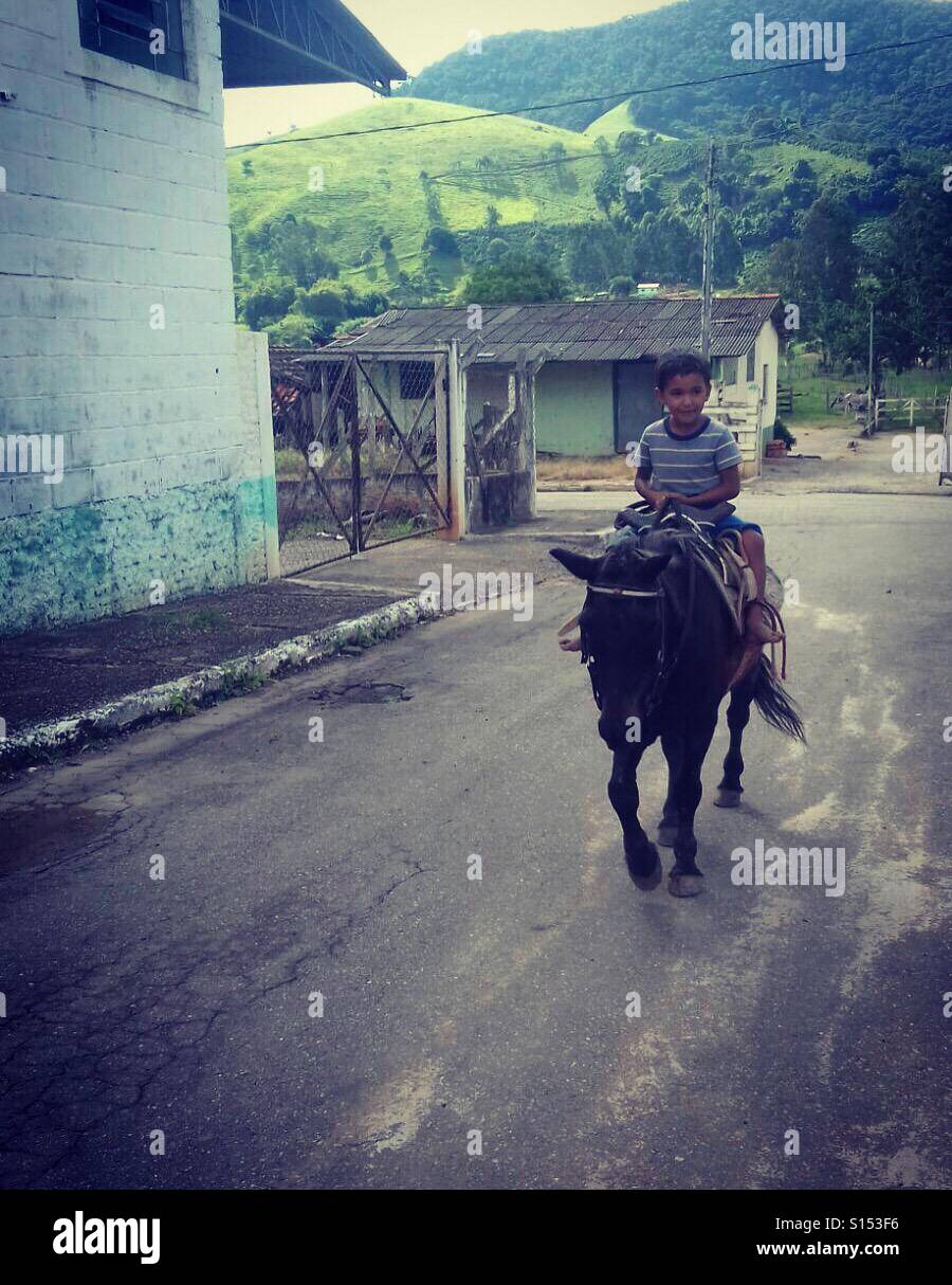 Bento brasil hi-res stock photography and images - Alamy