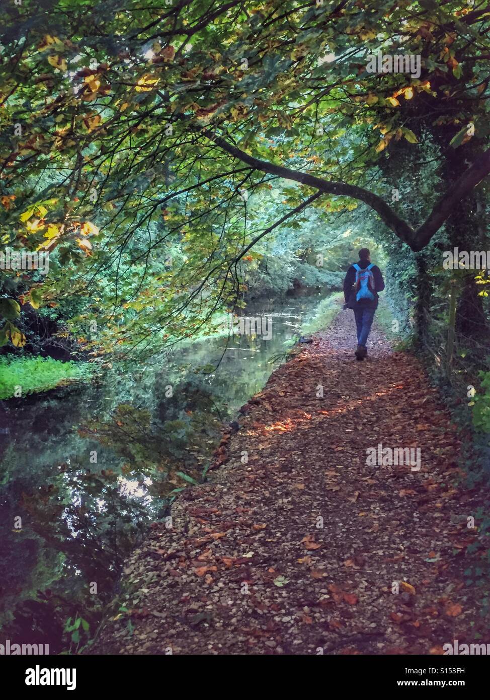 Cotswolds england hiker hi-res stock photography and images - Alamy