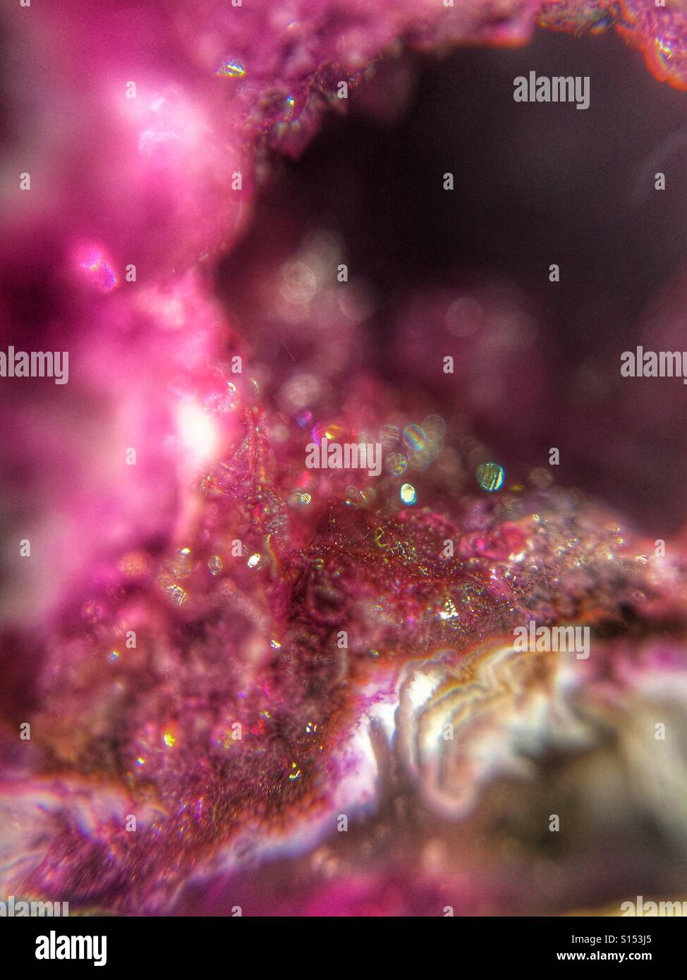 Crystal purple hi-res stock photography and images - Alamy