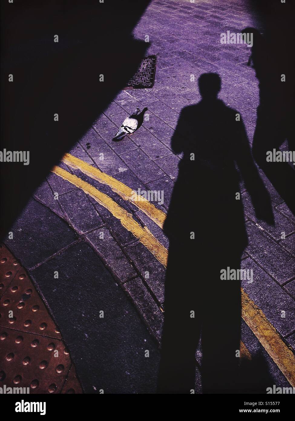 Shadow of men and a pigeon Stock Photo - Alamy