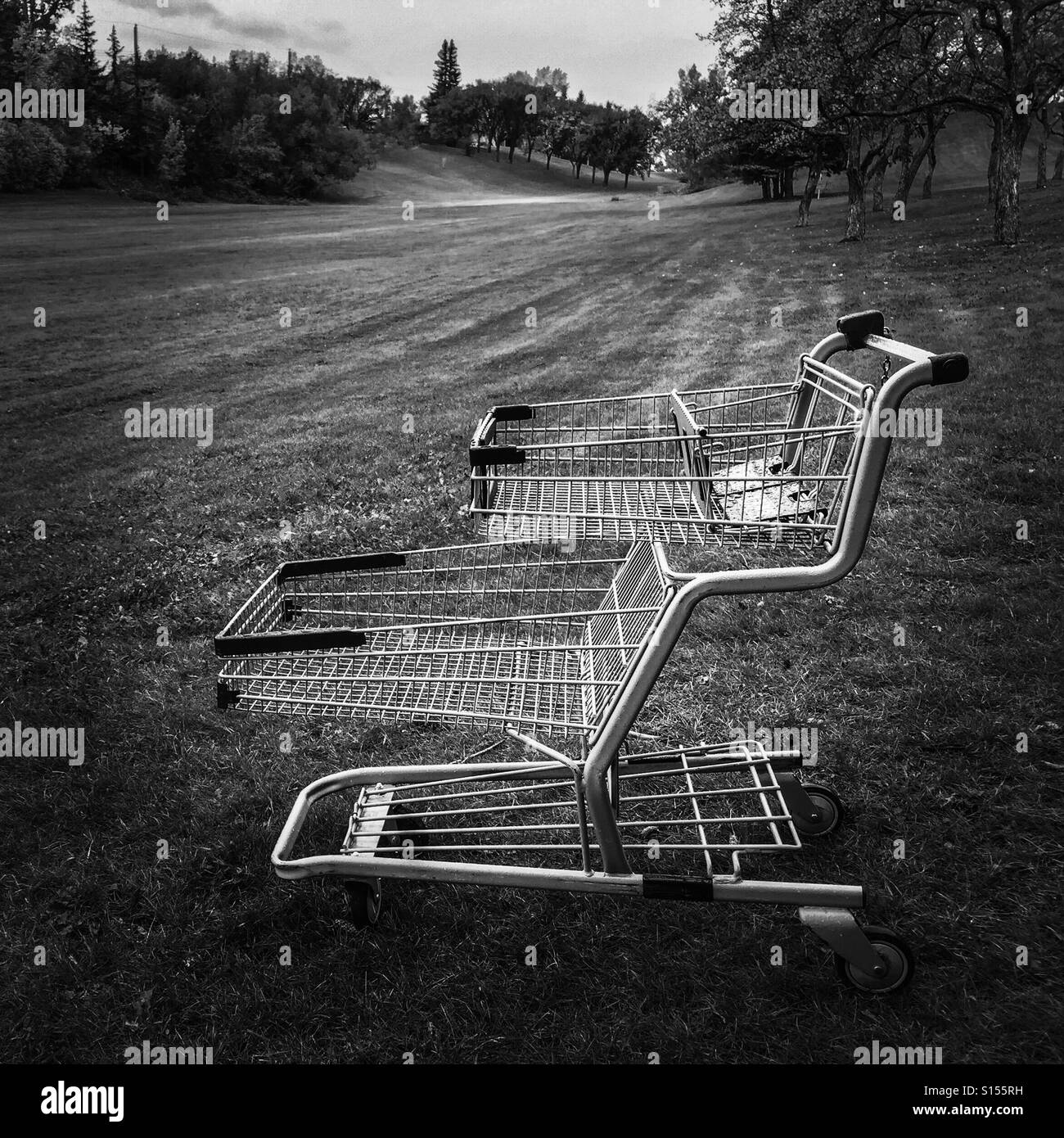 Shopping buggy Black and White Stock Photos & Images - Alamy