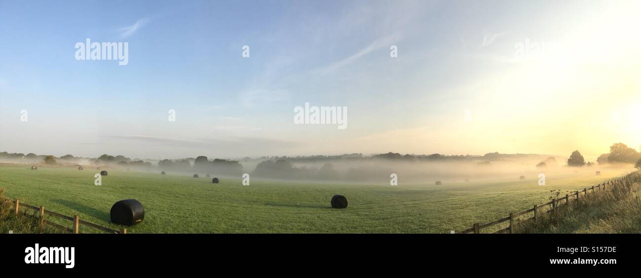 Farm morning sun hi-res stock photography and images - Alamy