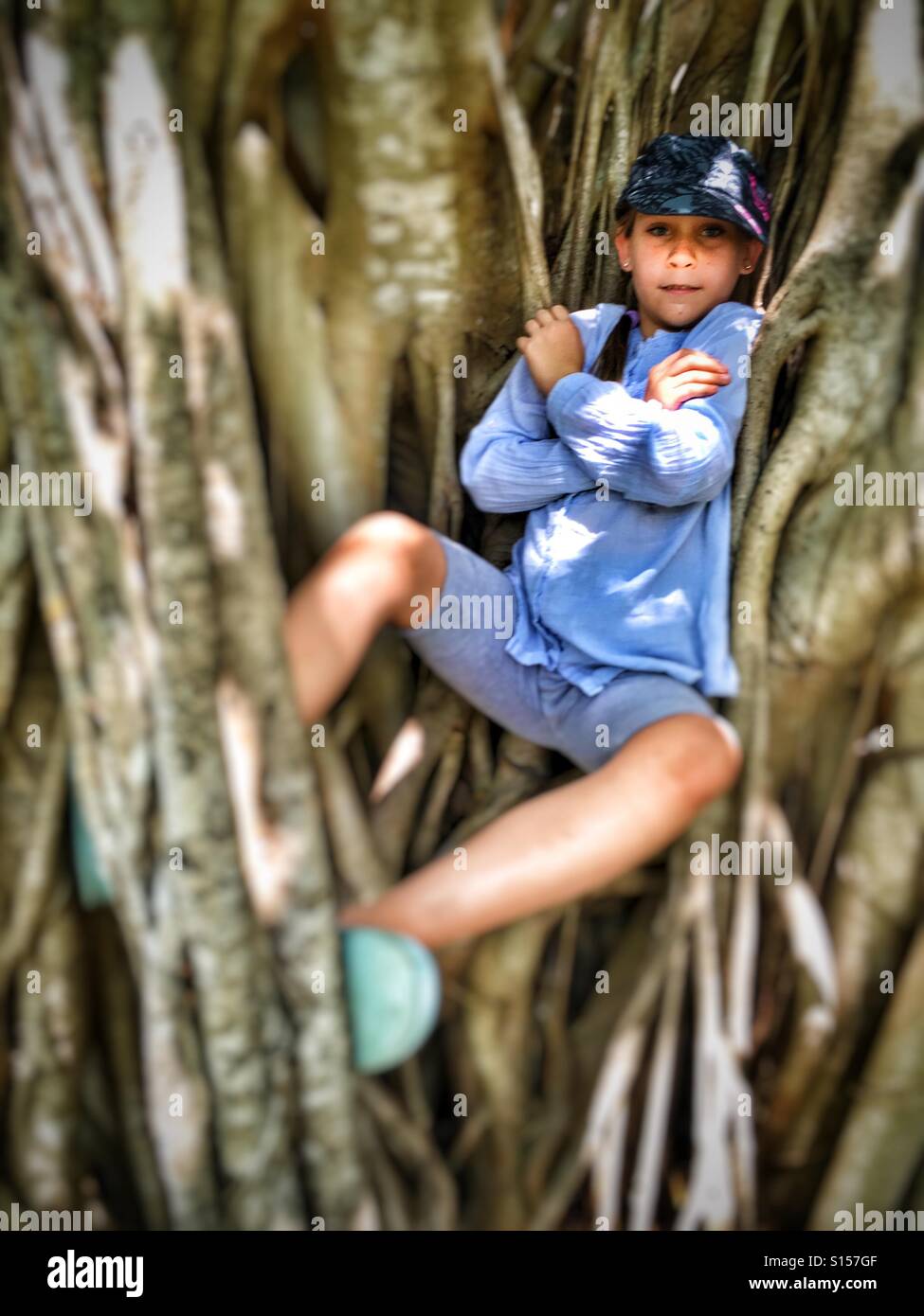 Girl sitting in a tree Stock Photo - Alamy
