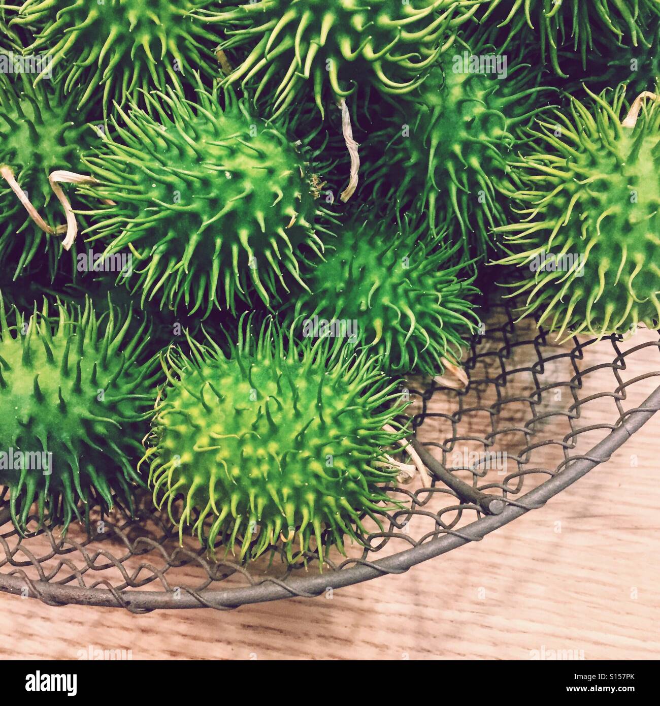 Green Lychee High Resolution Stock Photography and Images - Alamy