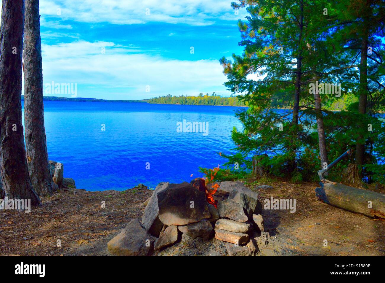 Log bench hi-res stock photography and images - Alamy