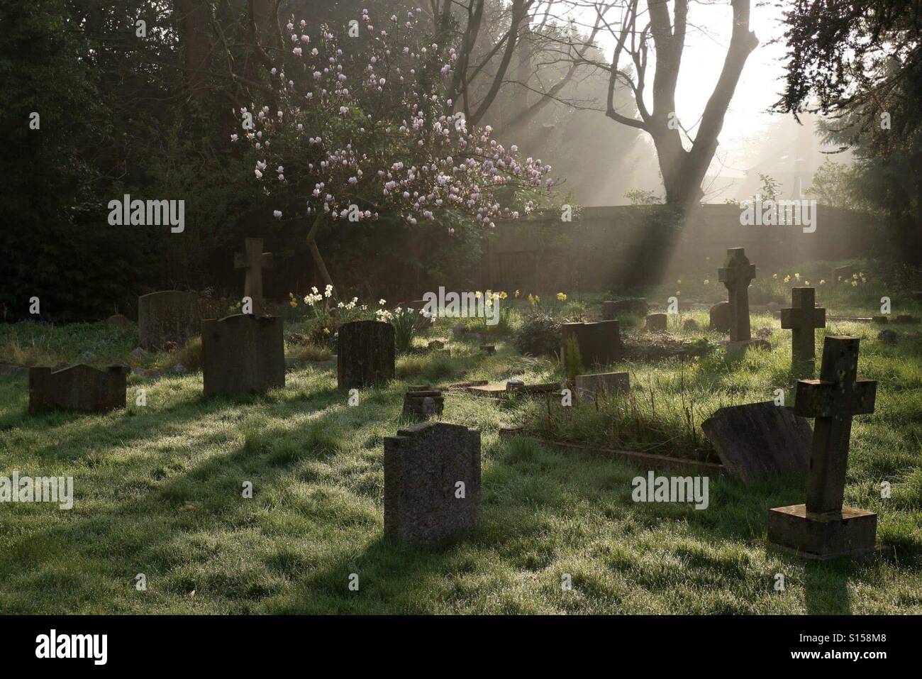 Early Morning Graveyard Stock Photo - Alamy