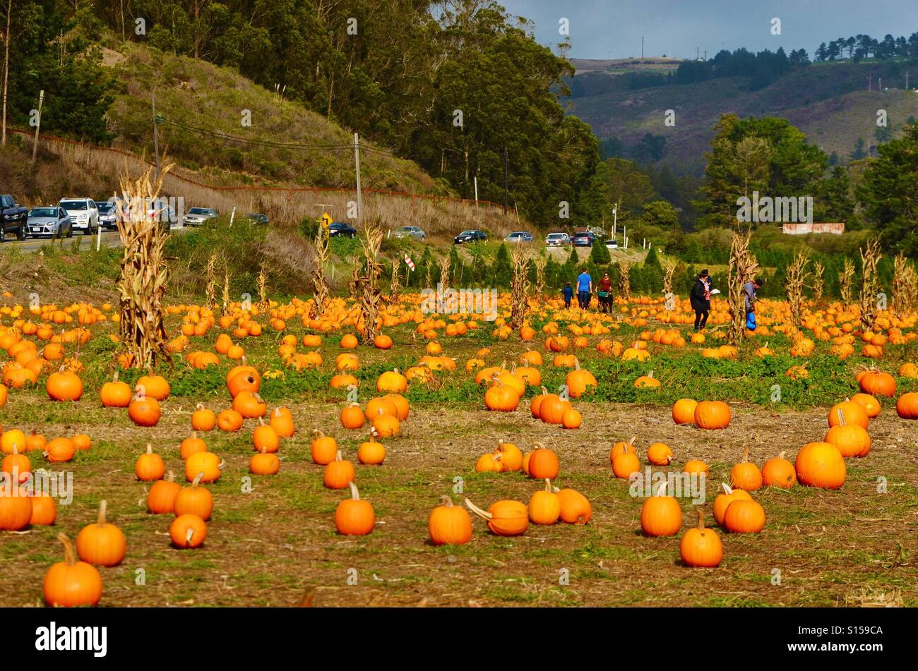 Half moon patch hi-res stock photography and images - Alamy