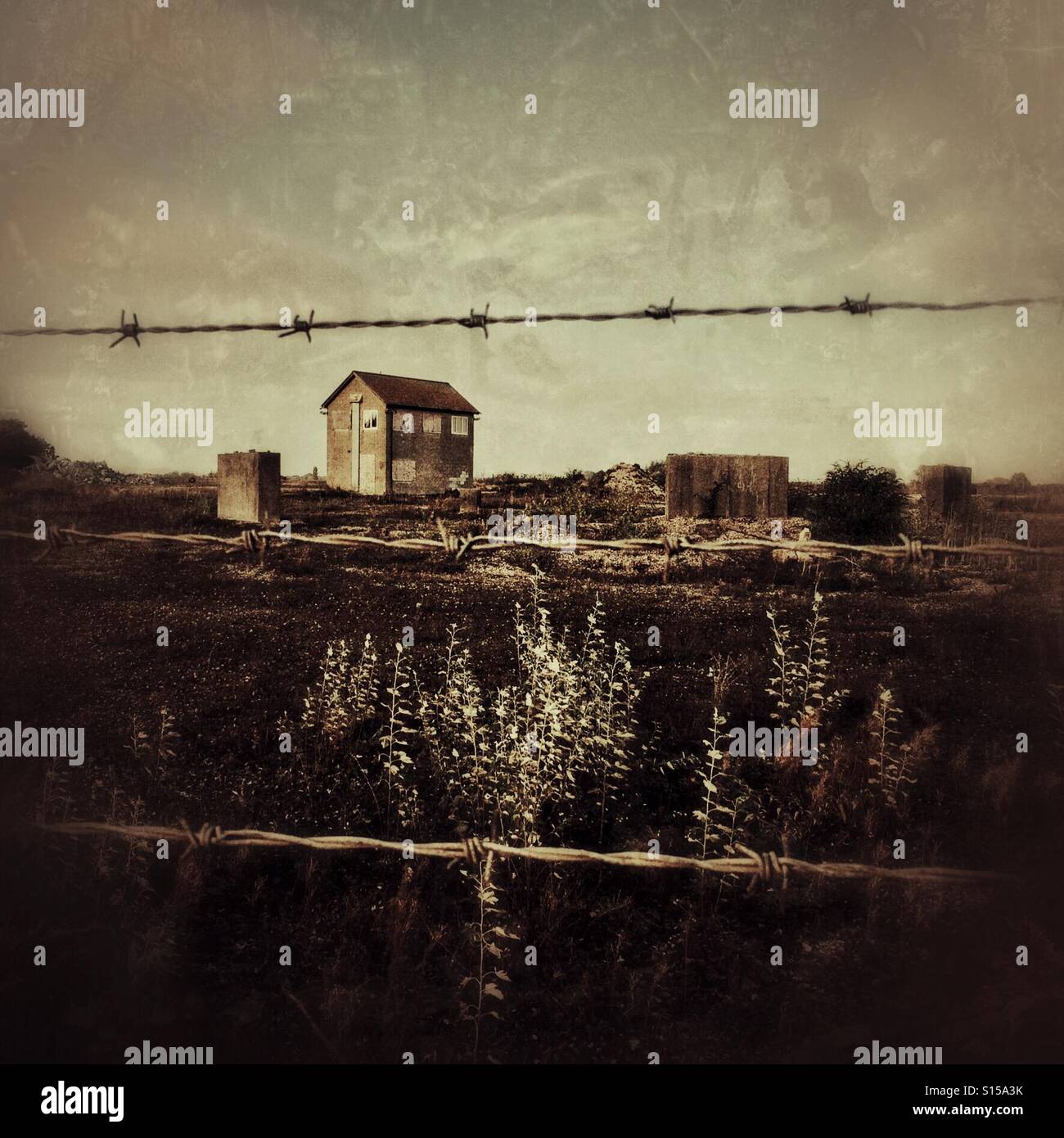 Empty wire hi-res stock photography and images - Alamy