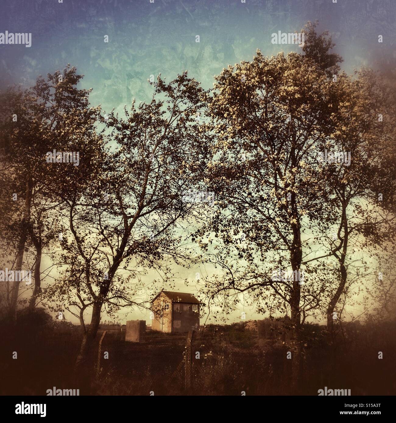 Empty landscape tree house hi-res stock photography and images - Alamy