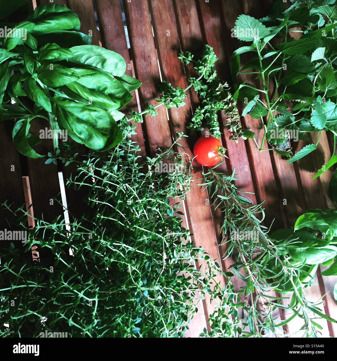 Tomato cilantro hi-res stock photography and images - Alamy