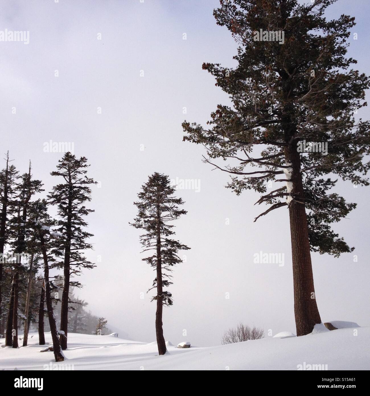 Lake tahoe in snow hi-res stock photography and images - Alamy