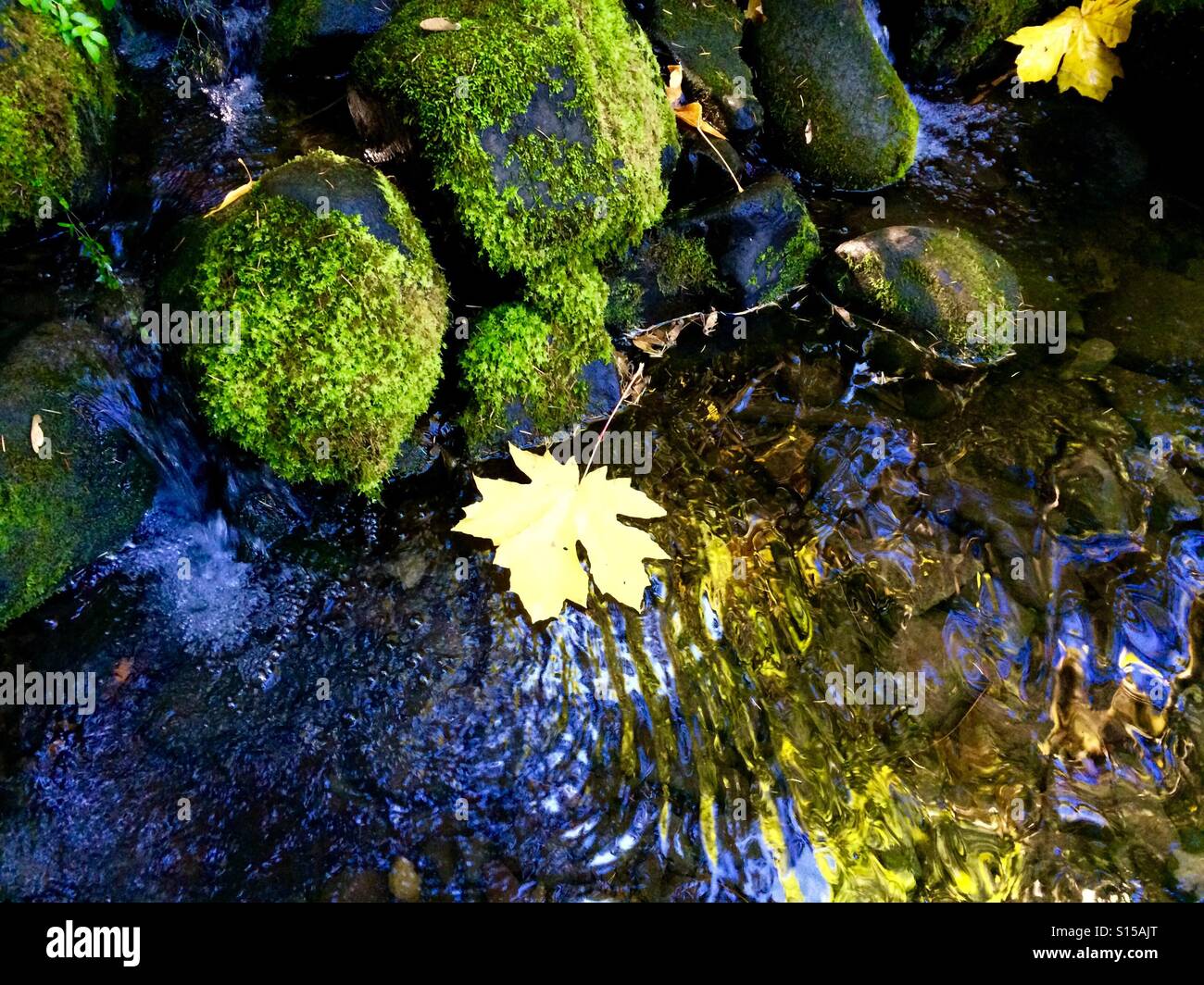 Pnw Hiking High Resolution Stock Photography and Images - Alamy