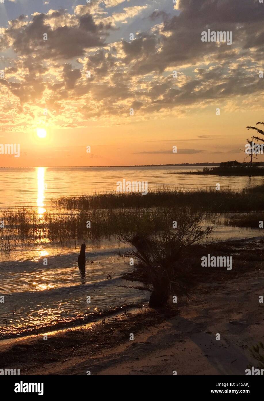 Louisiana Bayou Sunset High Resolution Stock Photography and Images - Alamy