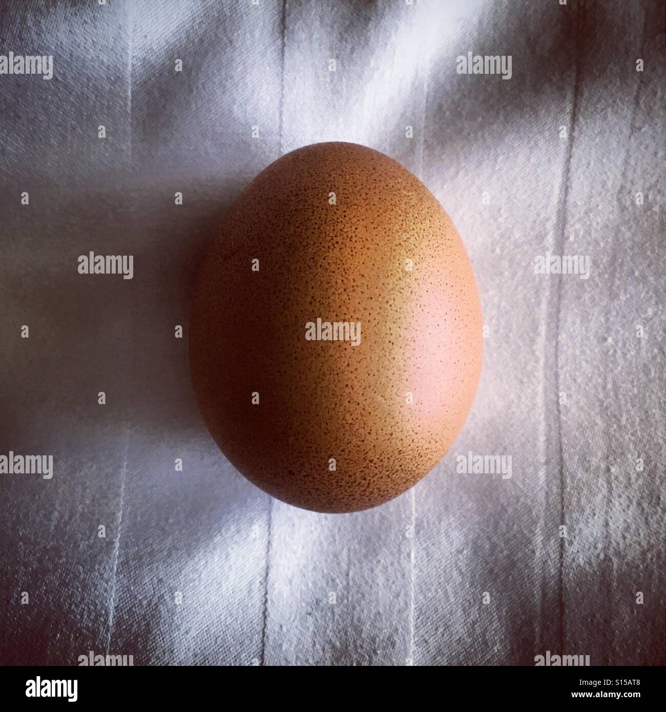 One big egg from chicken on a fablics cloth top view in teh kitchen ...