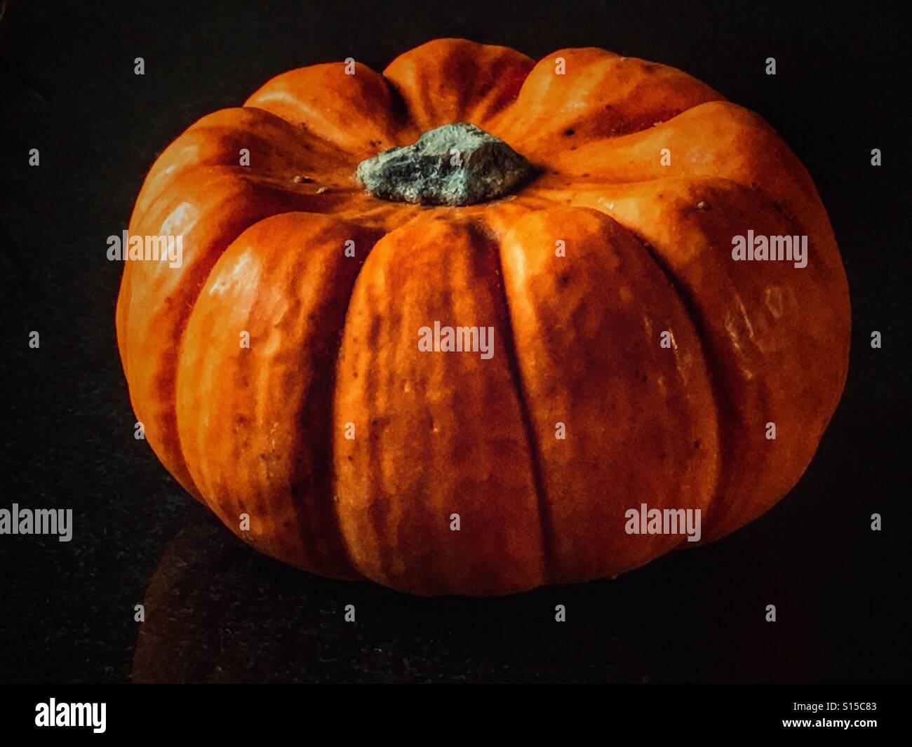 Munchkin Pumpkin High Resolution Stock Photography and Images - Alamy