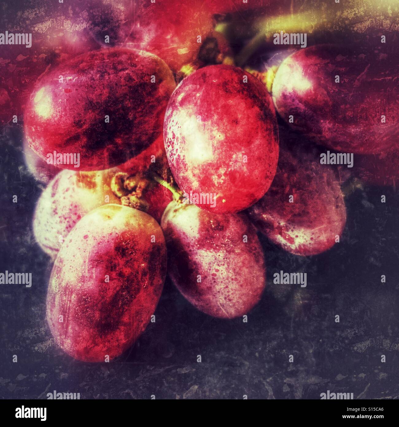 Seedless grapes hi-res stock photography and images - Alamy Seedless grapes hi-res stock photography and images - Alamy