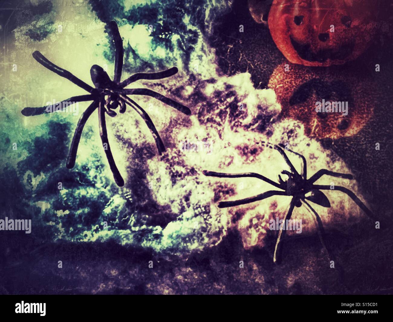 Halloween creepy spiders and pumpkin Stock Photo - Alamy