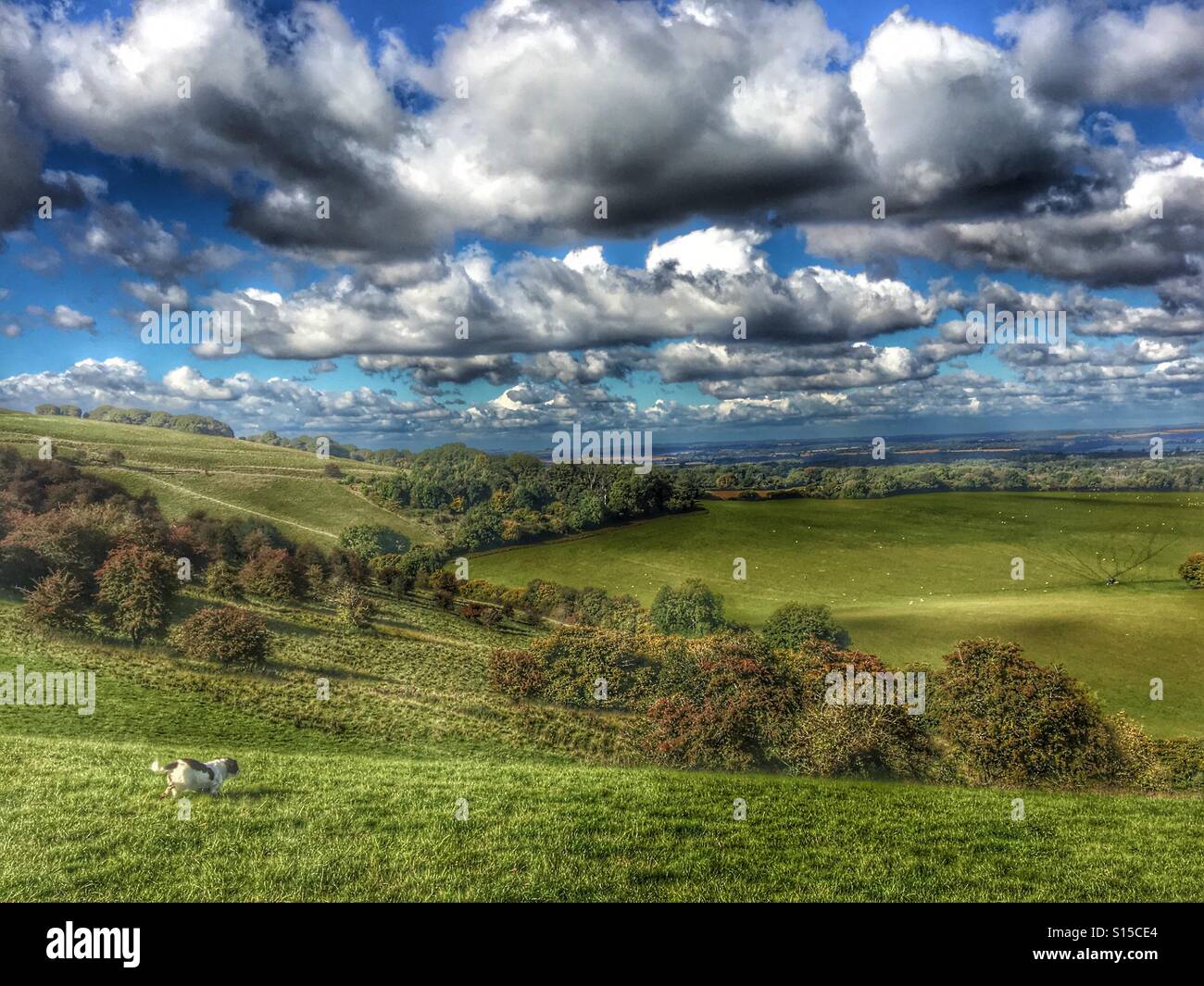 Autumn landscape on the Berkshire Wiltshire border overlooking the ...