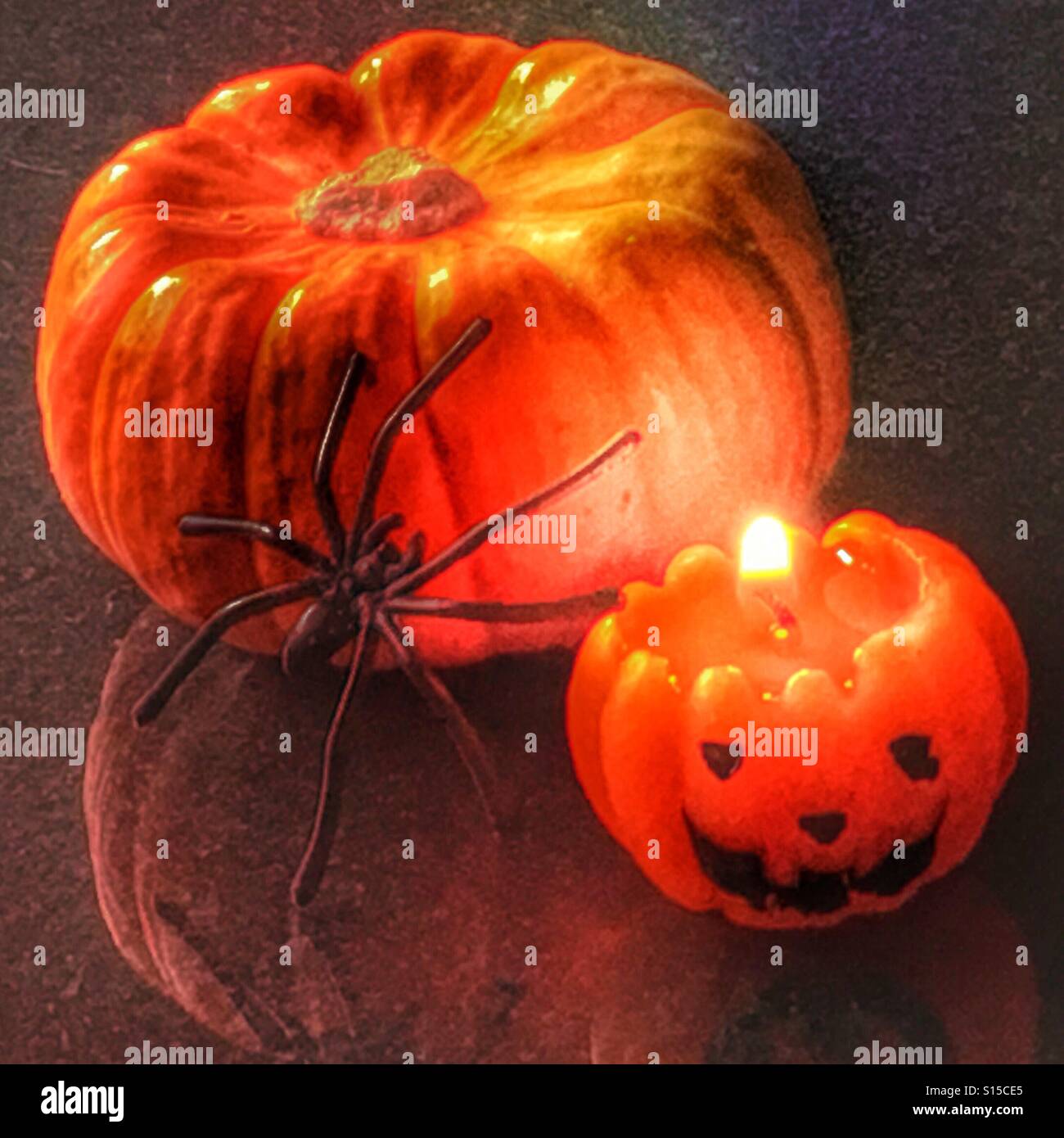 Halloween. Munchkin pumpkin, candle and creepy black spider Stock Photo ...