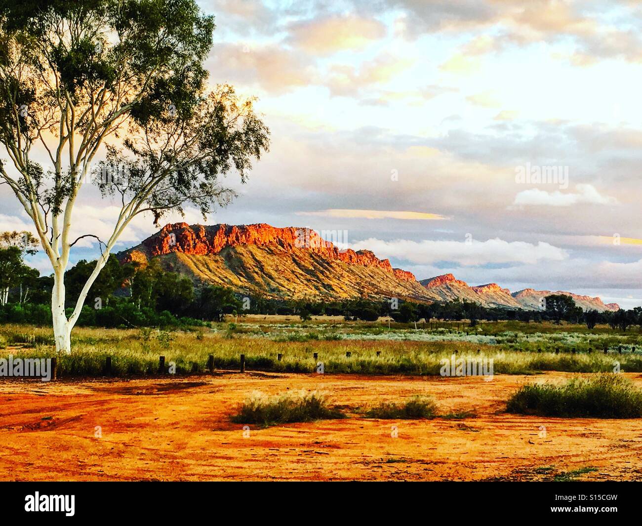 Alice macdonald hi-res stock photography and images - Alamy