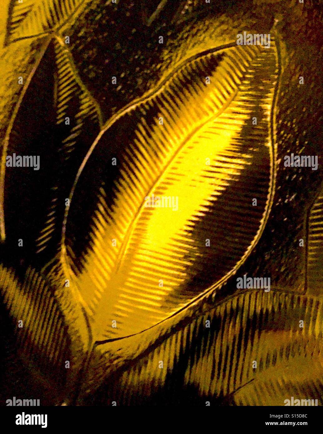 Translucent design hi-res stock photography and images - Alamy