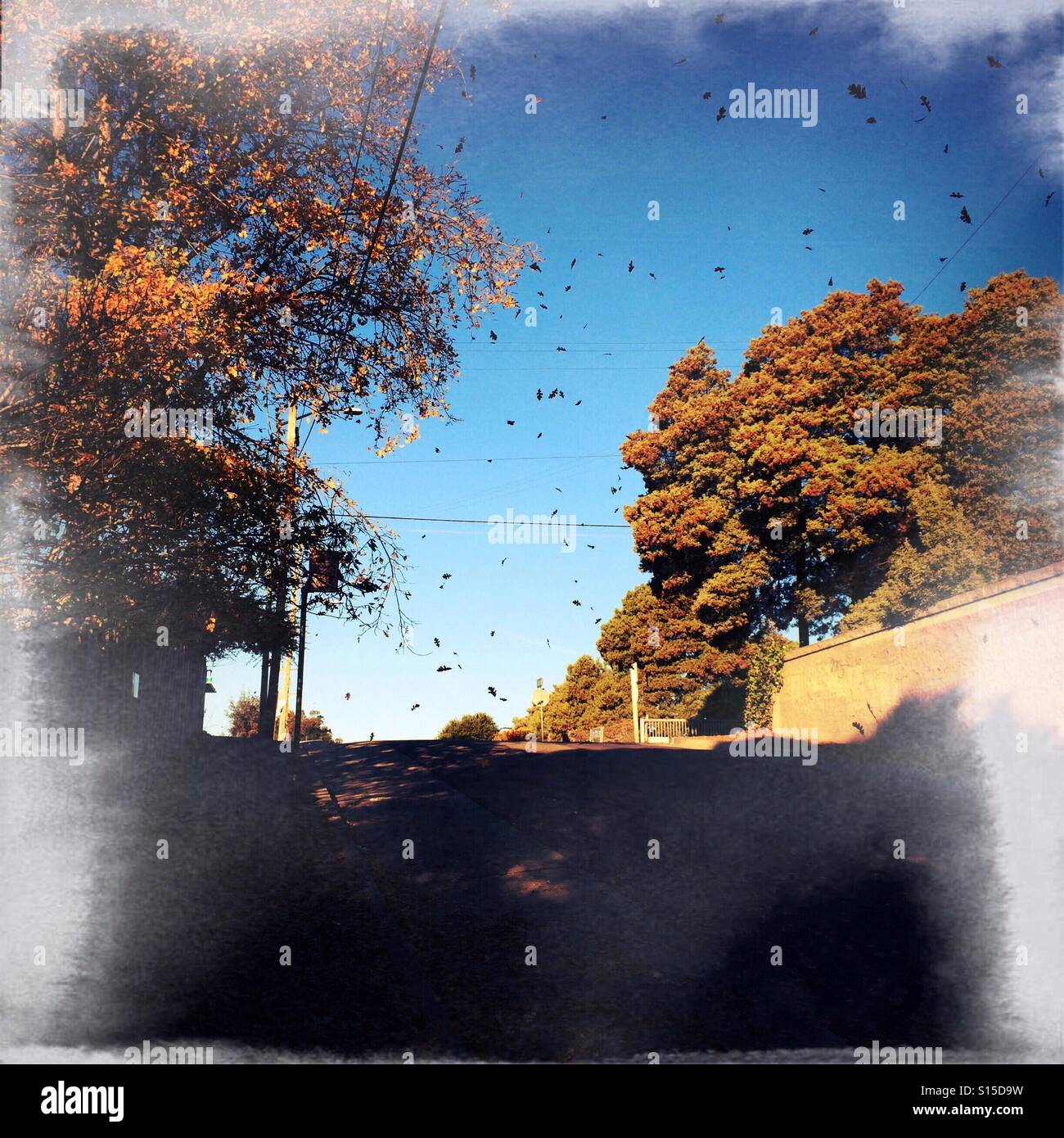 Gone with the fall winds Stock Photo - Alamy