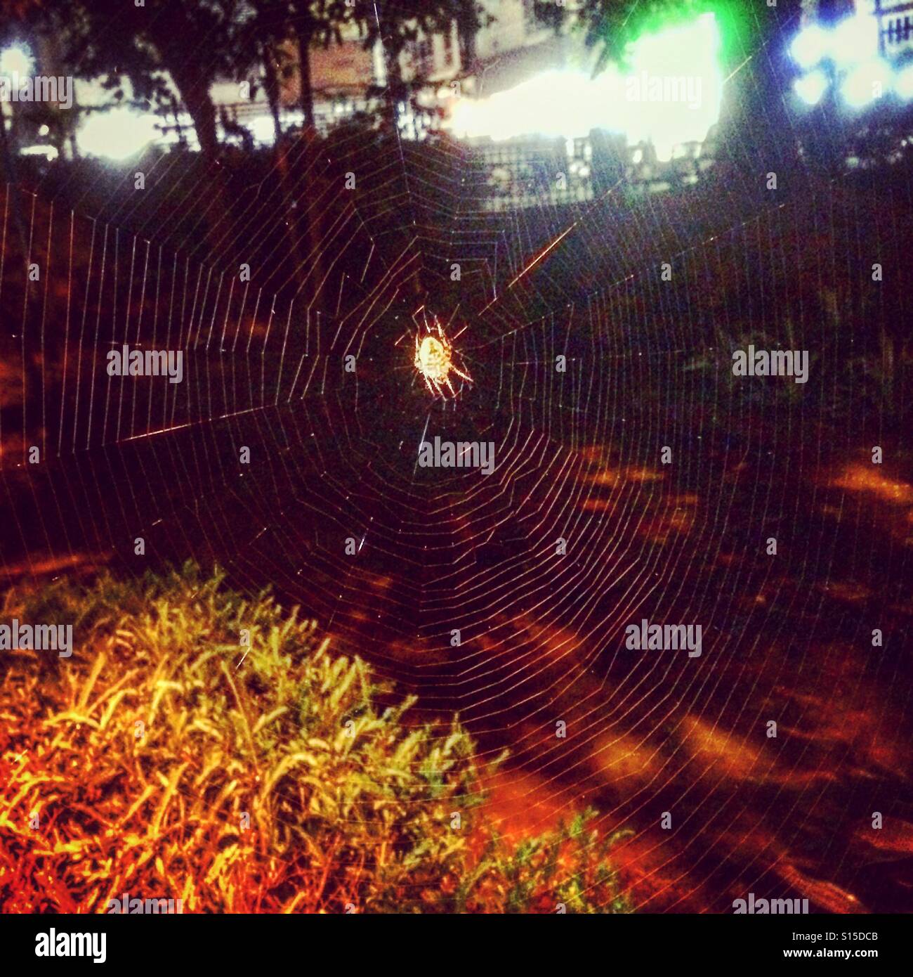 Work of wonder hi-res stock photography and images - Alamy