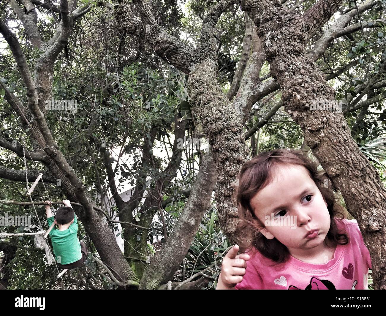Girl climb tree hi-res stock photography and images - Alamy