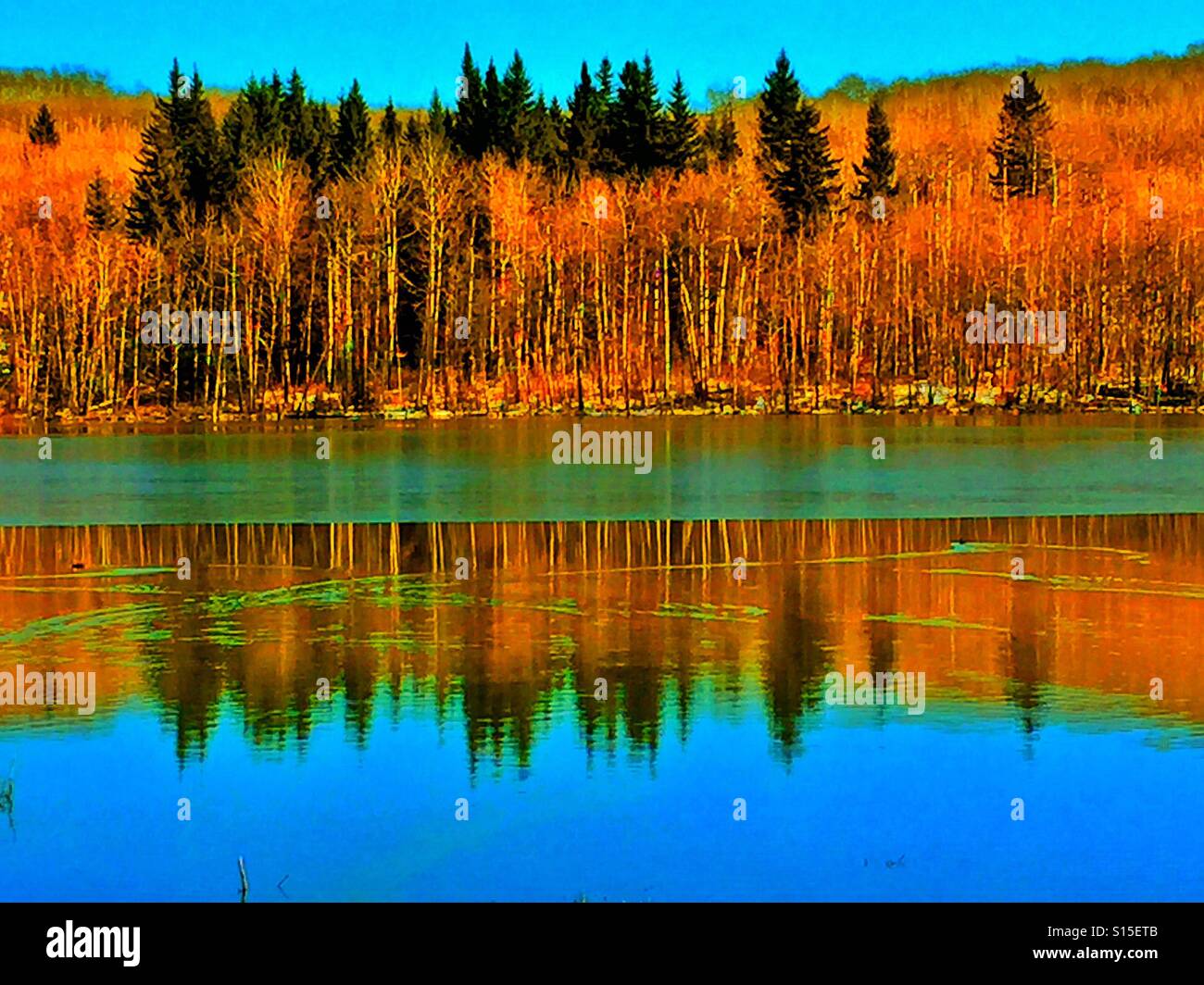Autumn colours reflections in a small lake in the foothills of the ...