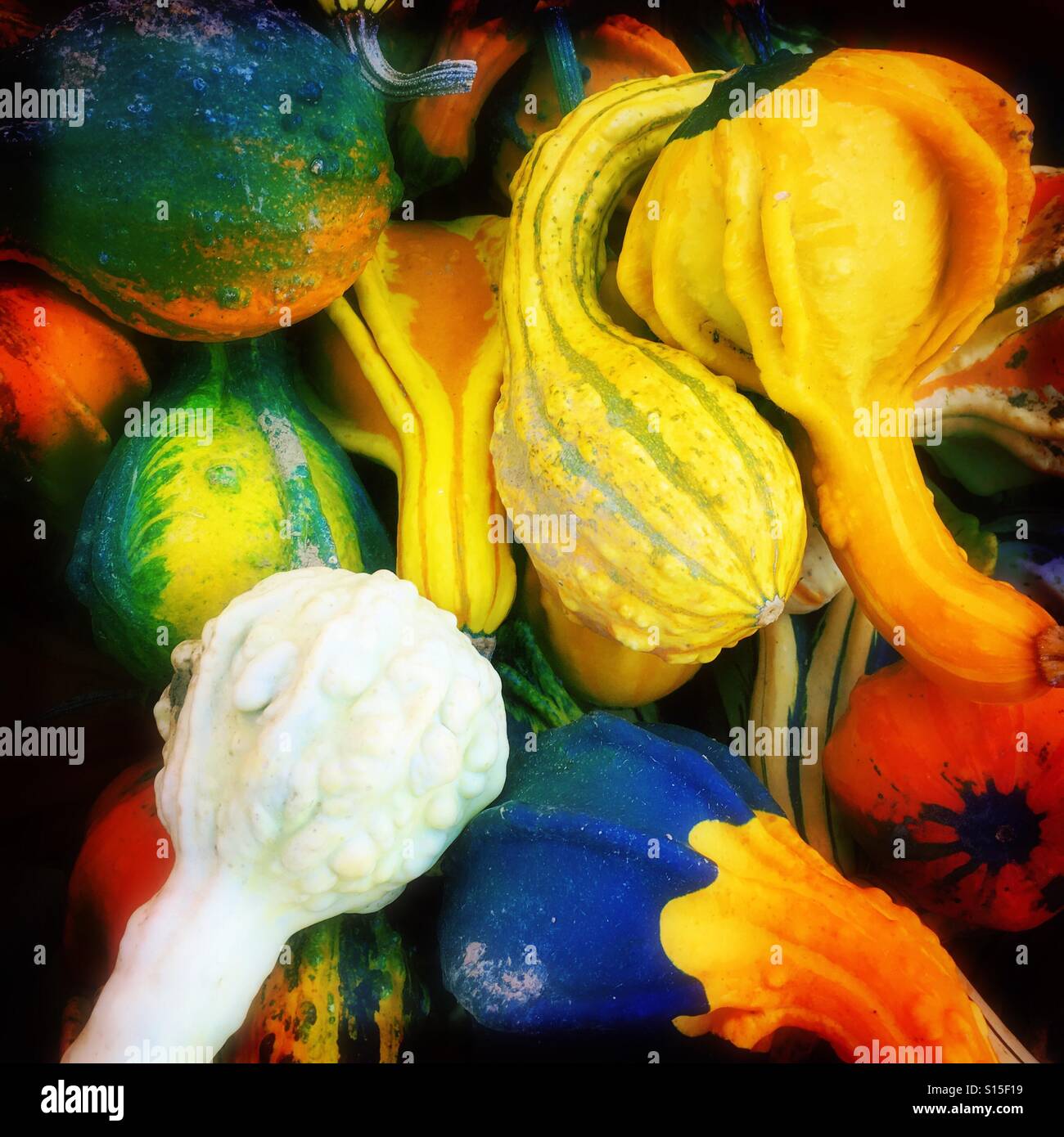 Colorful variety hi-res stock photography and images - Alamy