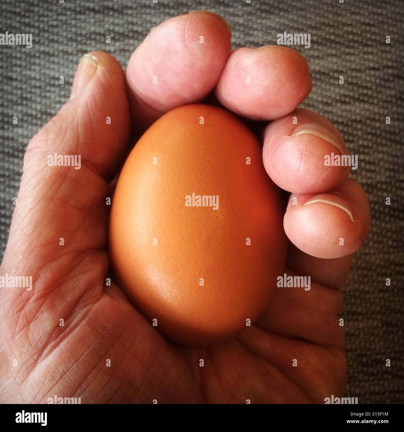 Hand holding brown eggs hi-res stock photography and images - Alamy