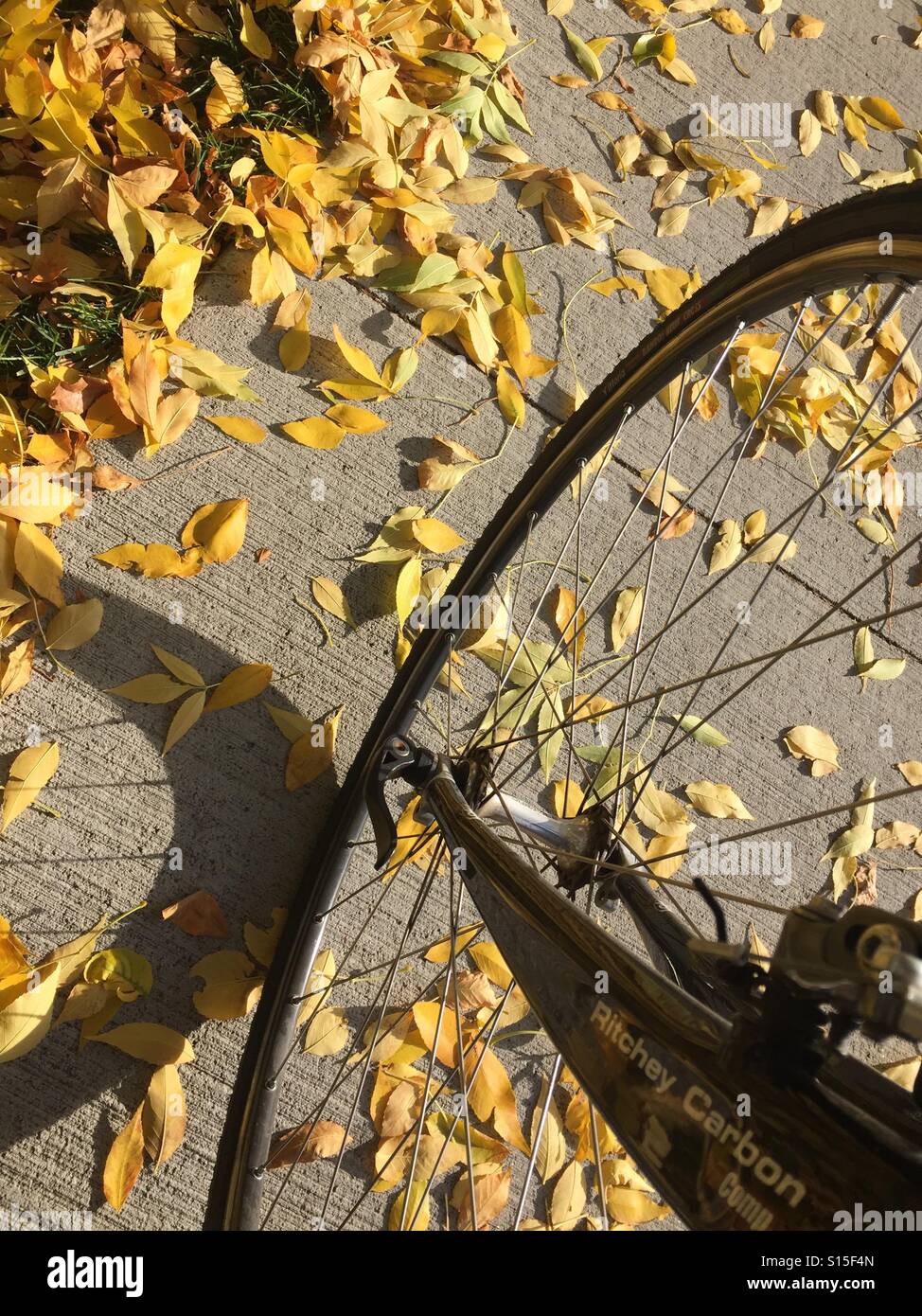 Biking in the fall Stock Photo - Alamy