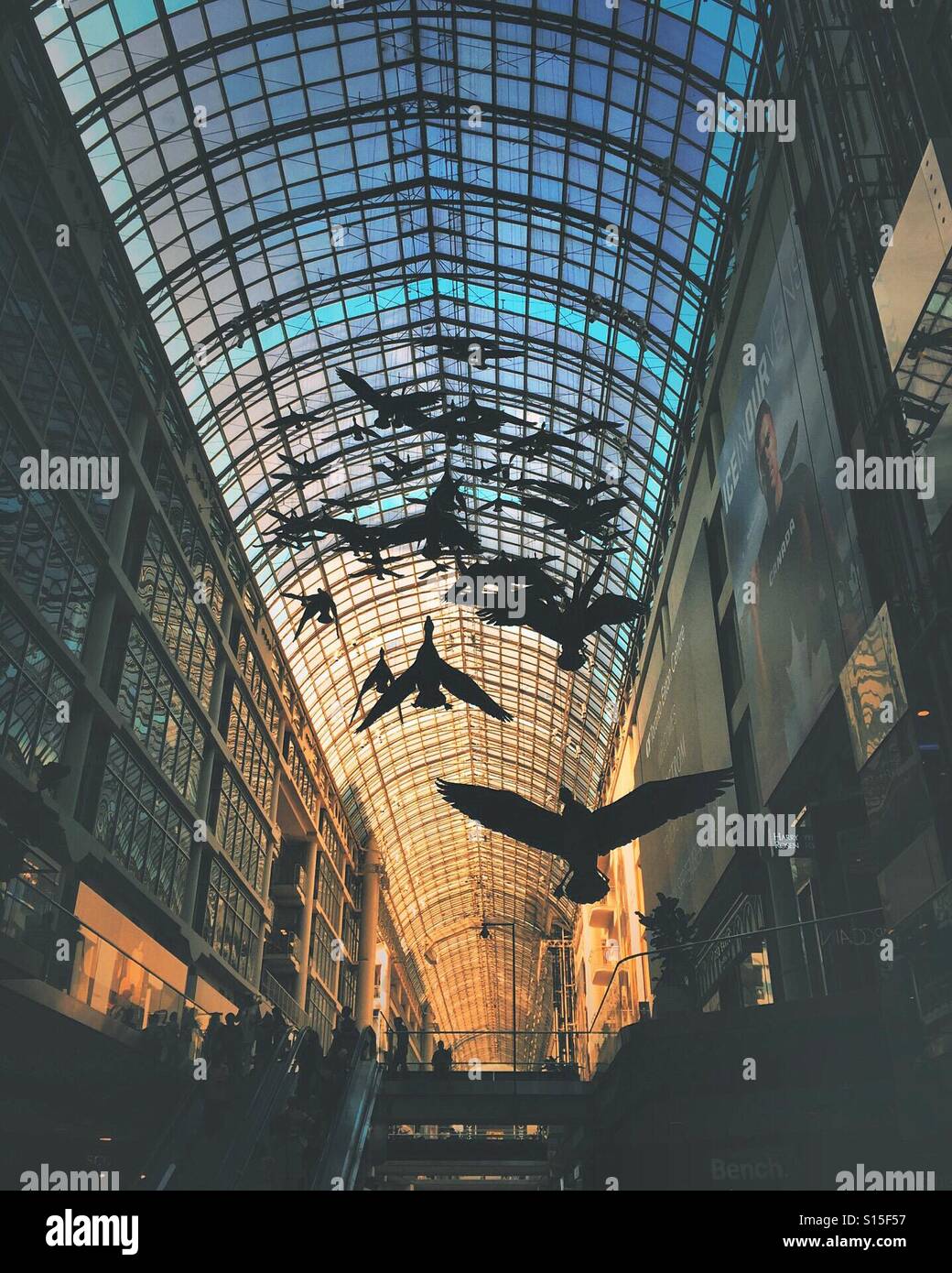 Toronto eaton centre birds hi-res stock photography and images - Alamy
