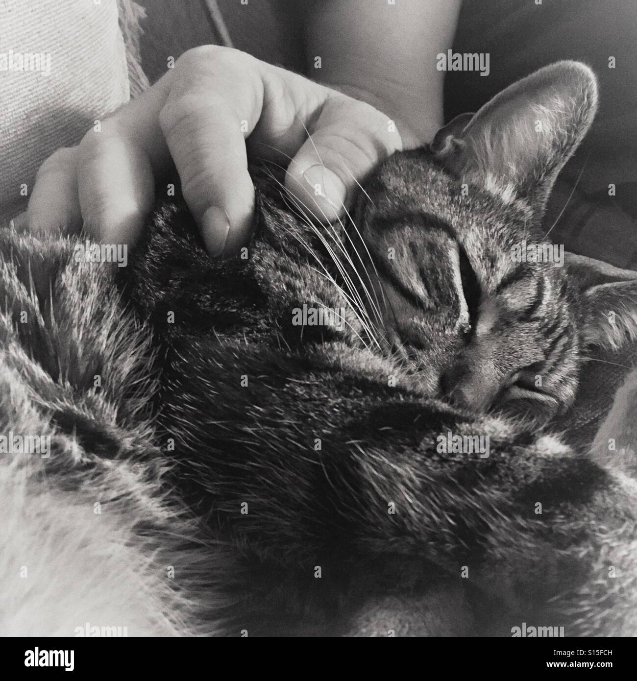 Human touch hi-res stock photography and images - Alamy