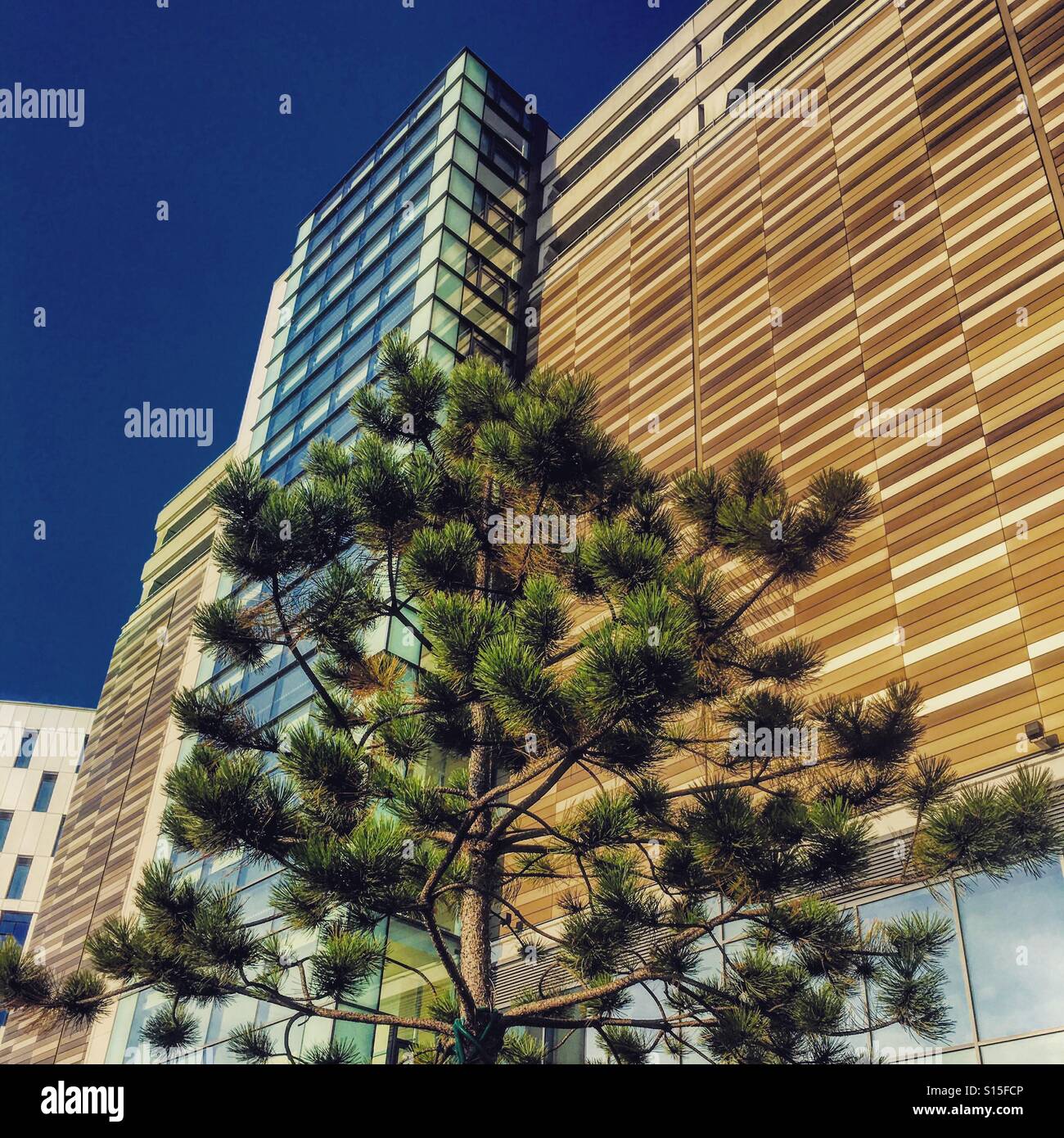 Nature Meets Urban High Resolution Stock Photography and Images - Alamy