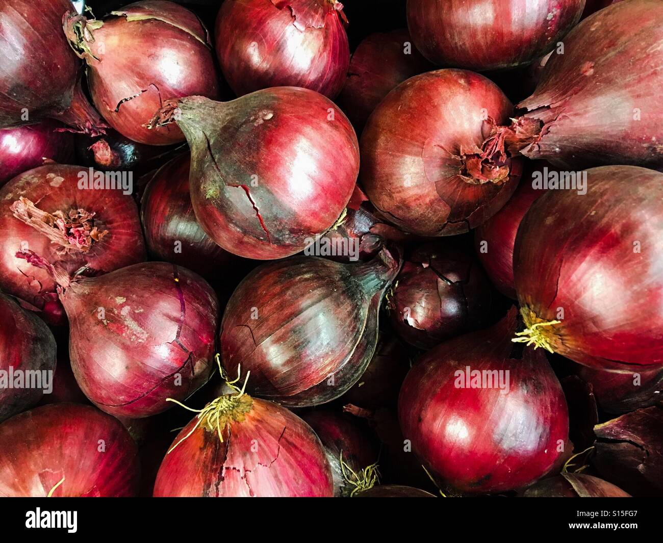 Raw onion skins hi-res stock photography and images - Alamy