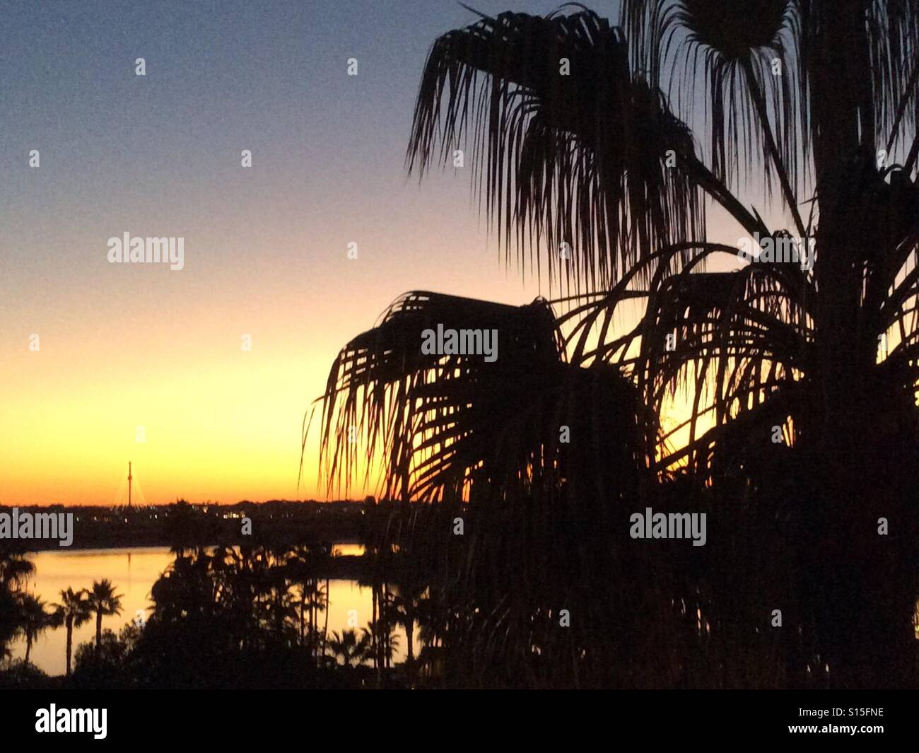 Balcony view trees hi-res stock photography and images - Alamy