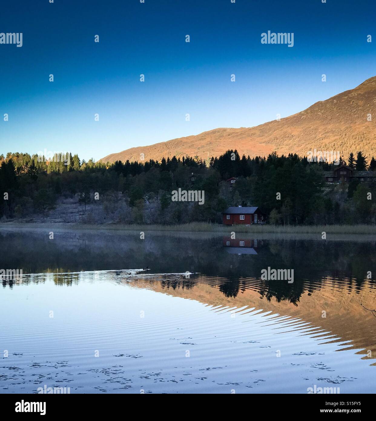 Small lake cabin hi-res stock photography and images - Alamy