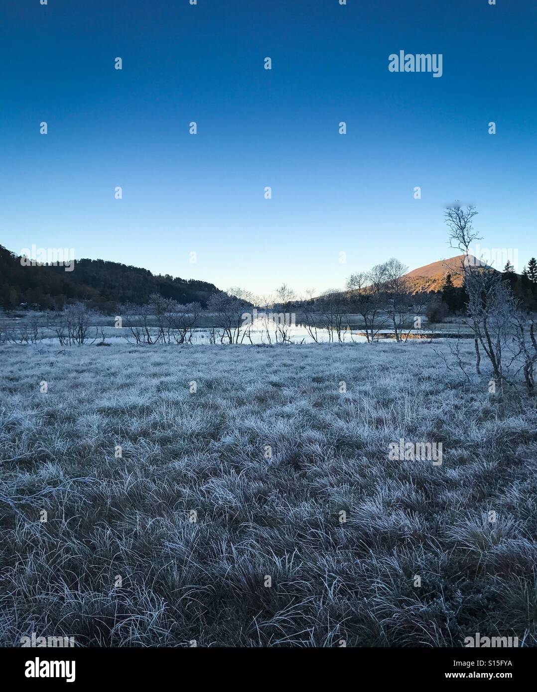 Frozen field in front of a lake Stock Photo - Alamy