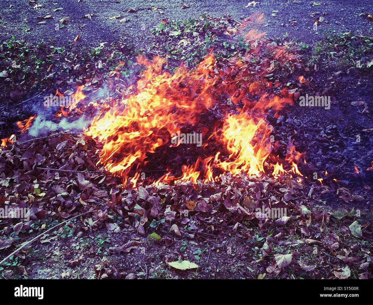 Burning leaves hi-res stock photography and images - Alamy