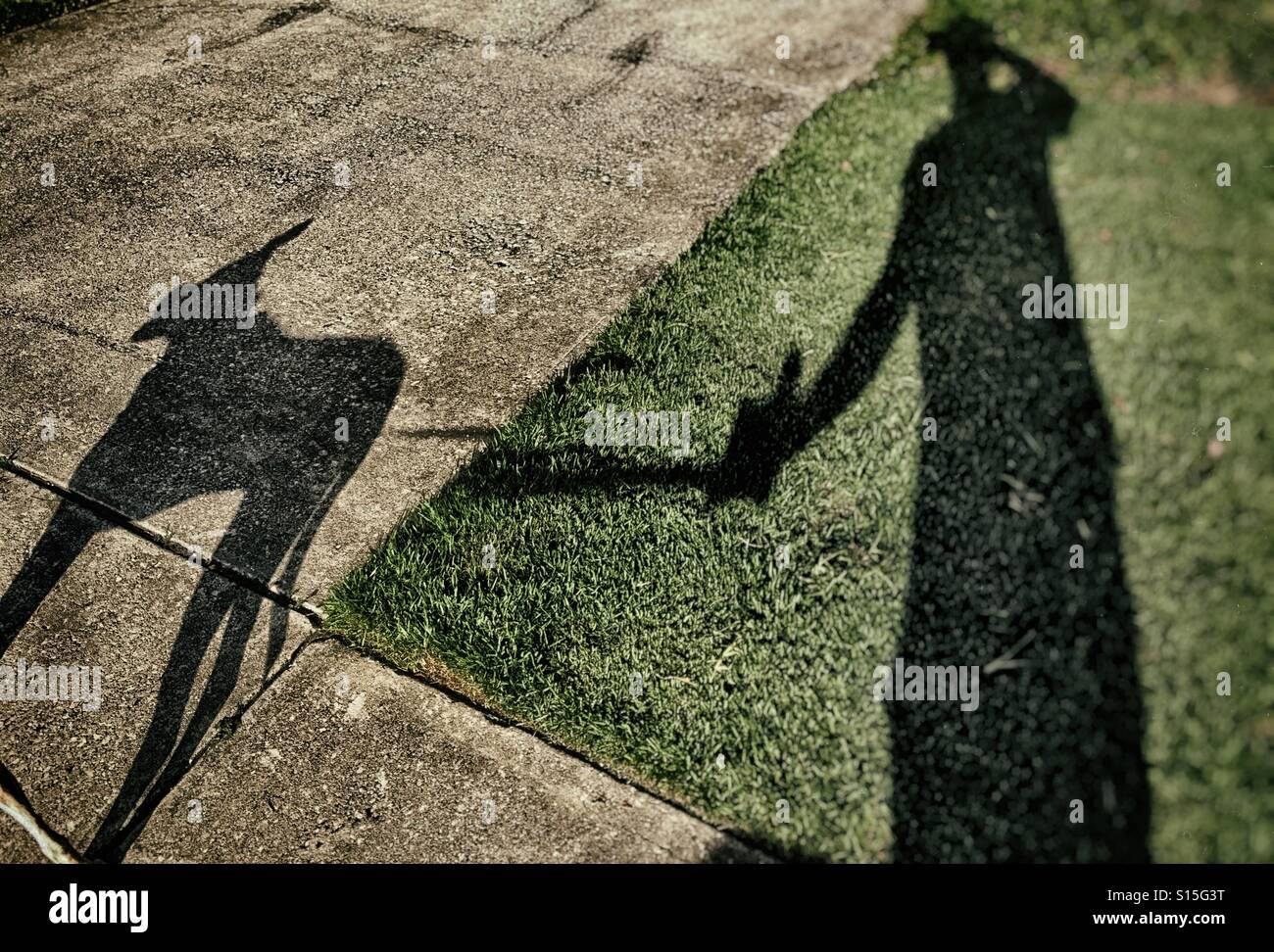 Shadow Dog Walking Stock Photo - Alamy