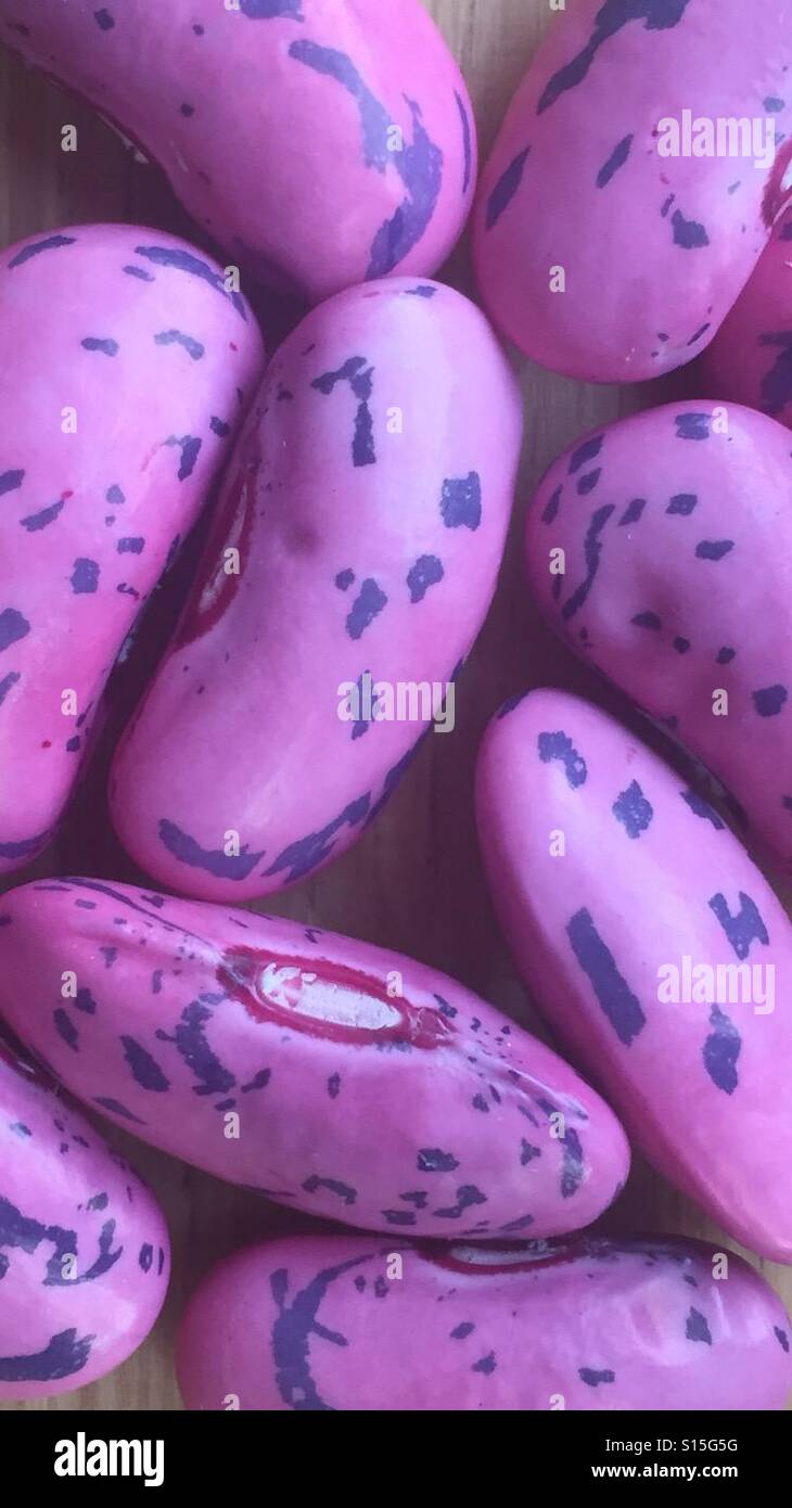 Purple runner beans hi-res stock photography and images - Alamy