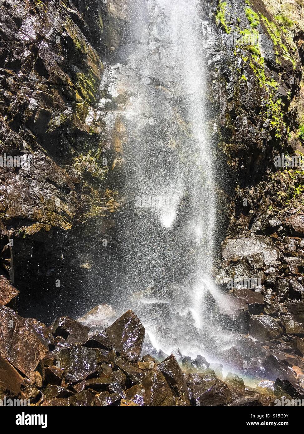 Bushwalking Stock Photos & Bushwalking Stock Images - Alamy