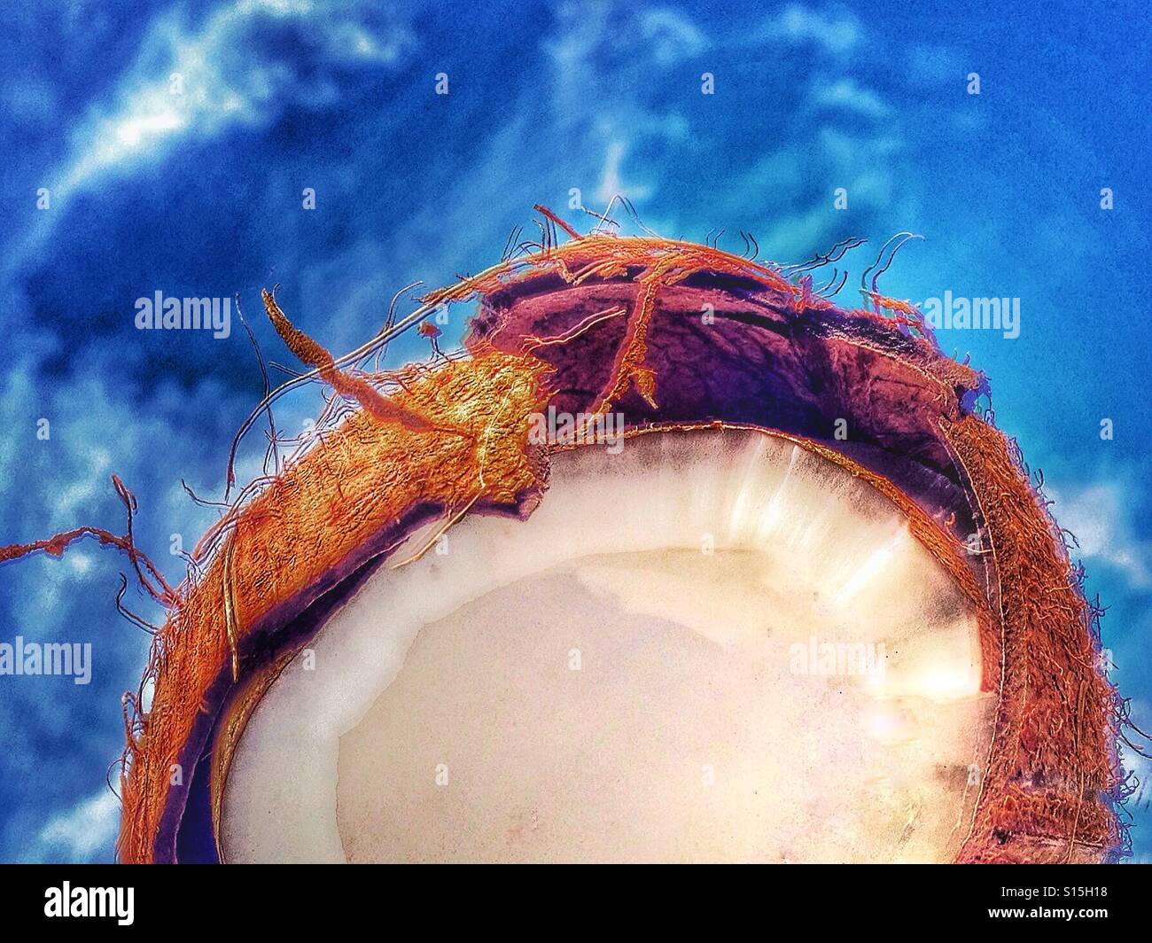Coconut and blue sky Stock Photo - Alamy