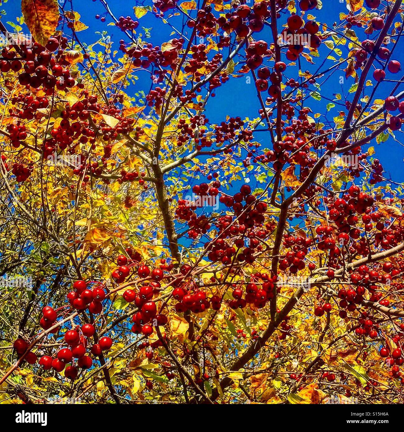 Seasons change hi-res stock photography and images - Alamy