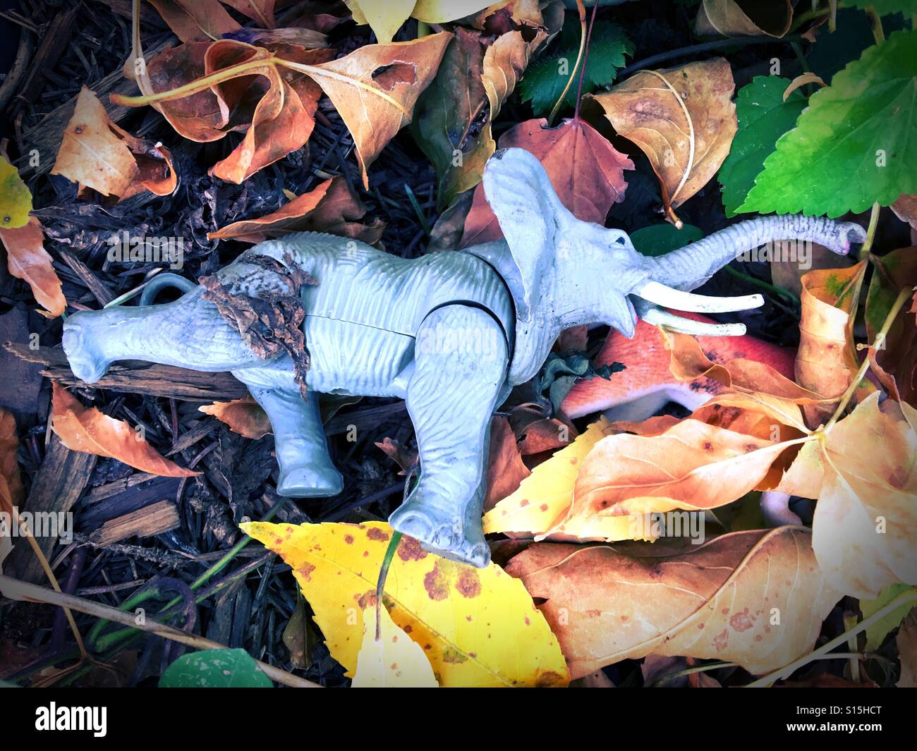 A plastic elephant toy in dirt and leaves Stock Photo - Alamy