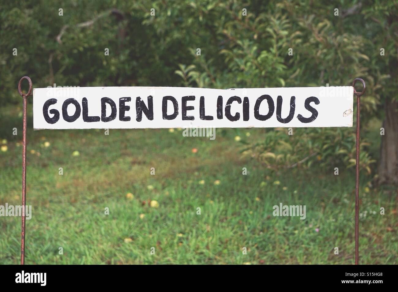 Apple picking sign hi-res stock photography and images - Alamy