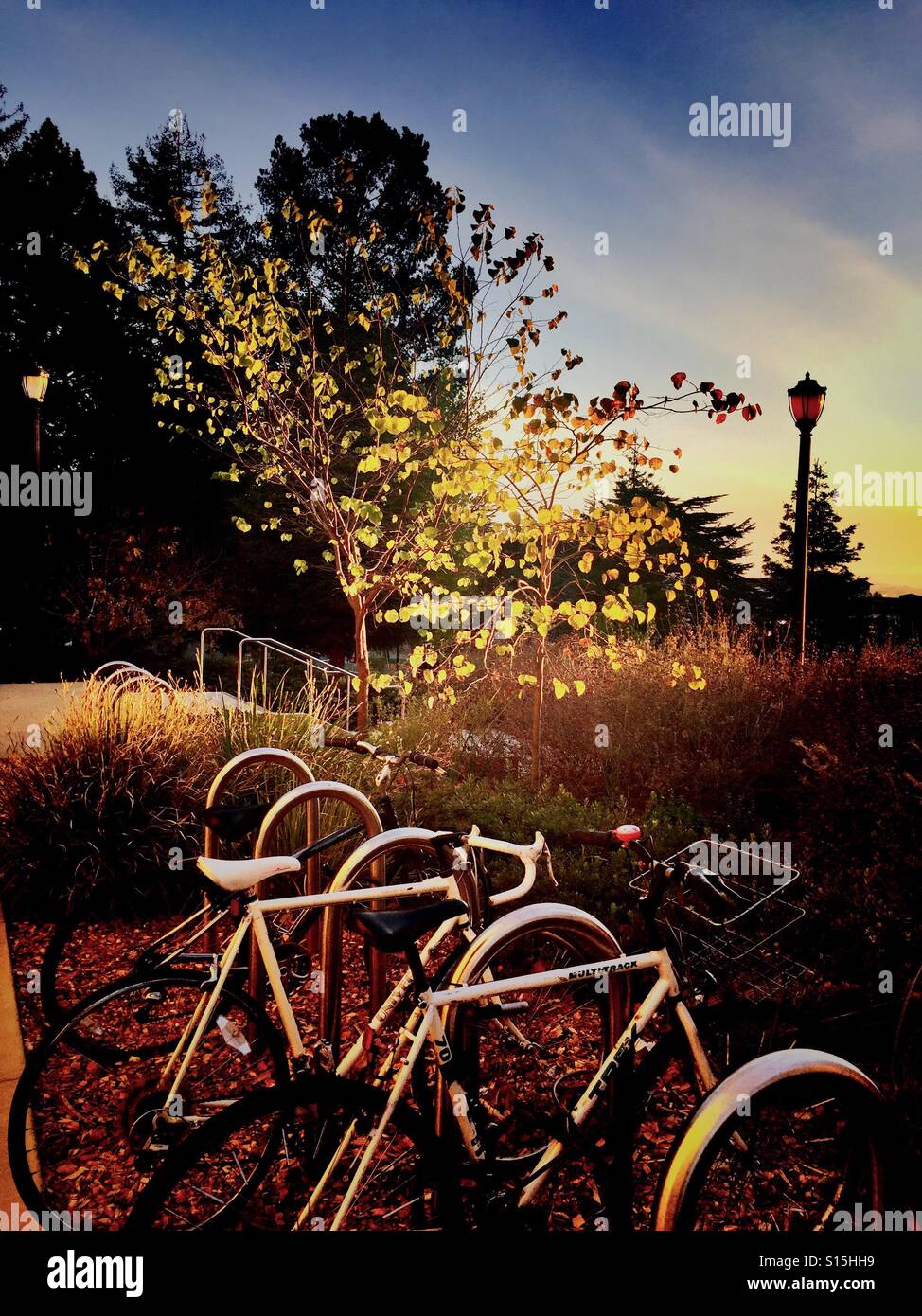Bicycles sunset hi-res stock photography and images - Alamy