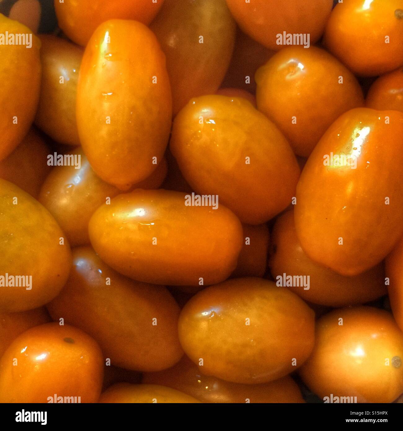 Coloured tomatoes hi-res stock photography and images - Alamy