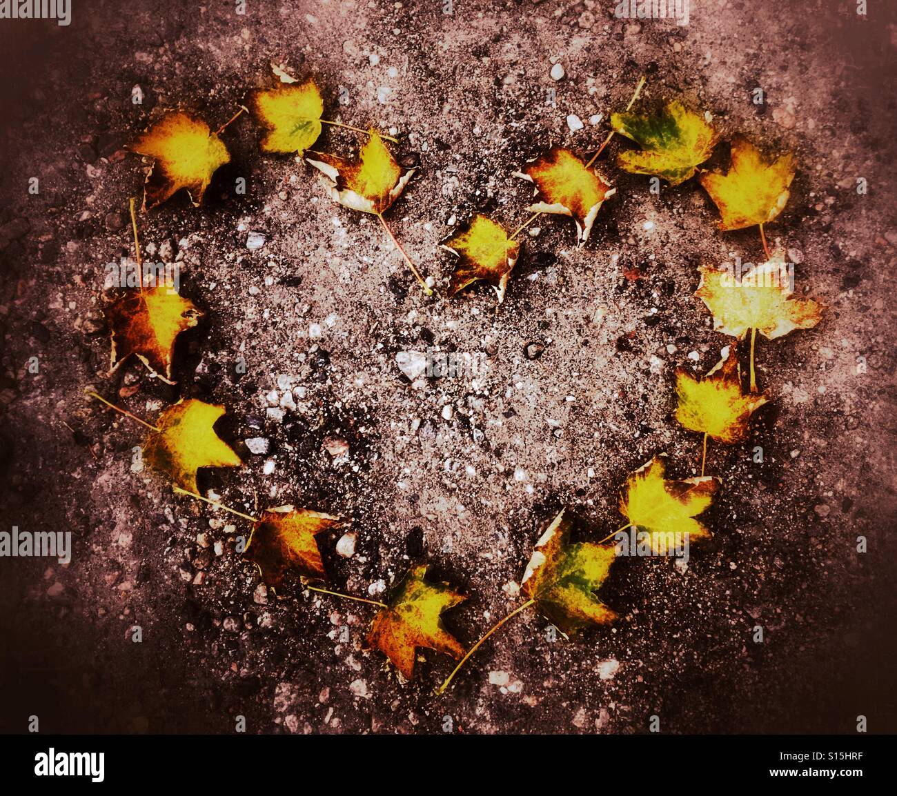 We love autumn hi-res stock photography and images - Alamy